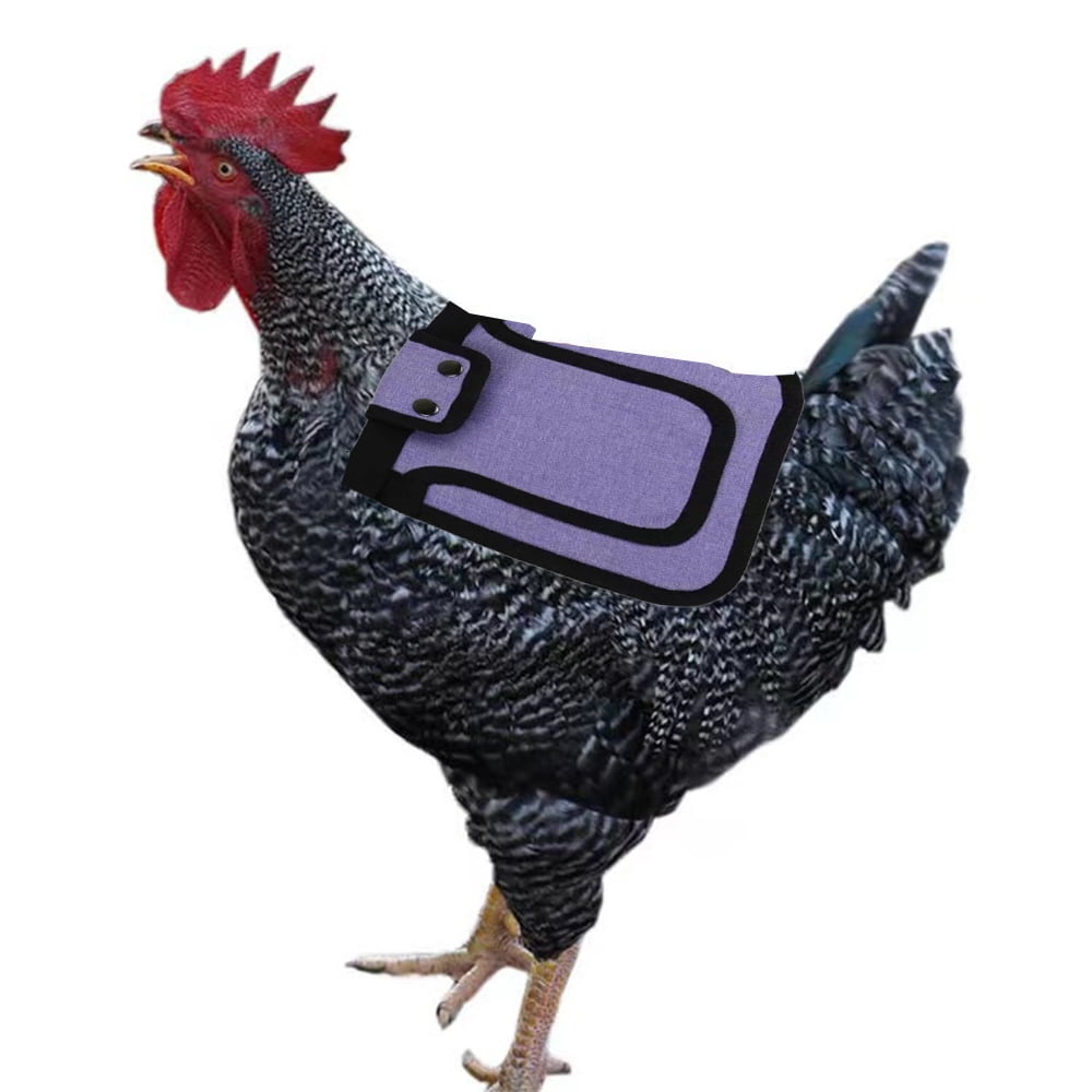 4 pieces Rooster hen saddle back feather wing protection fixator ...
