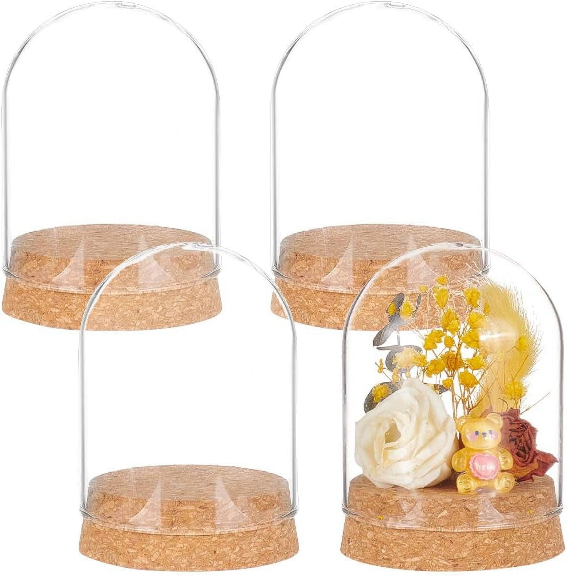 4 set Glass Dome Cover Decorative Display Case Cloche Bell Jar ...