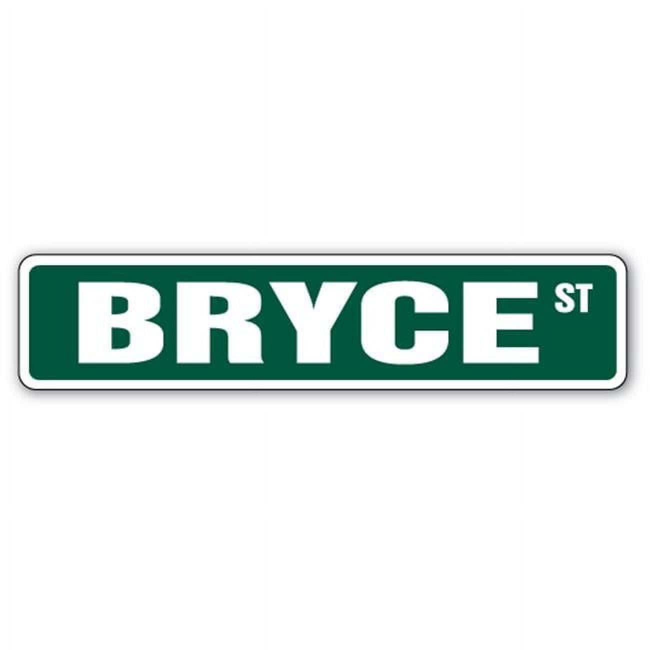 4 x 18 in. Bryce Street Sign - Walmart.com