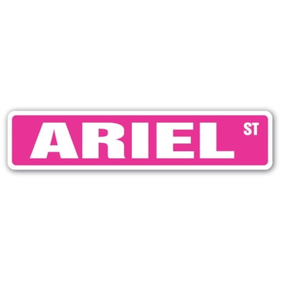 4 x 18 in. Childrens Name Room Street Sign - Ariel - Walmart.com