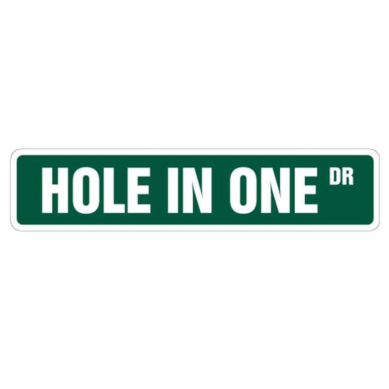 4 x 18 in. Hole in One Street Sign - Walmart.com