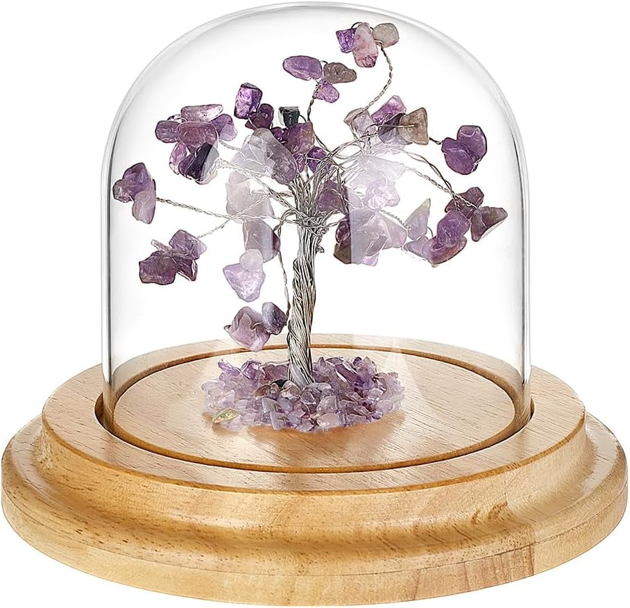 4" x 4" Glass Display Dome Cloche Glass Dome Clear Bell Jar Display ...