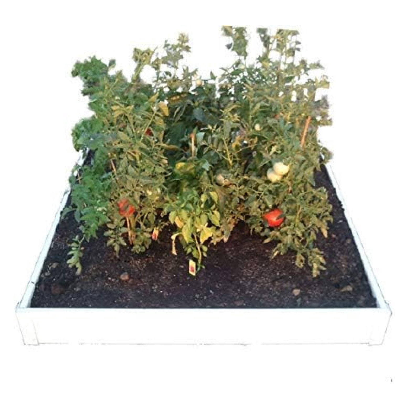 4 x 4 Stack-able, White, Vinyl, Raised Garden Bed - Walmart.com