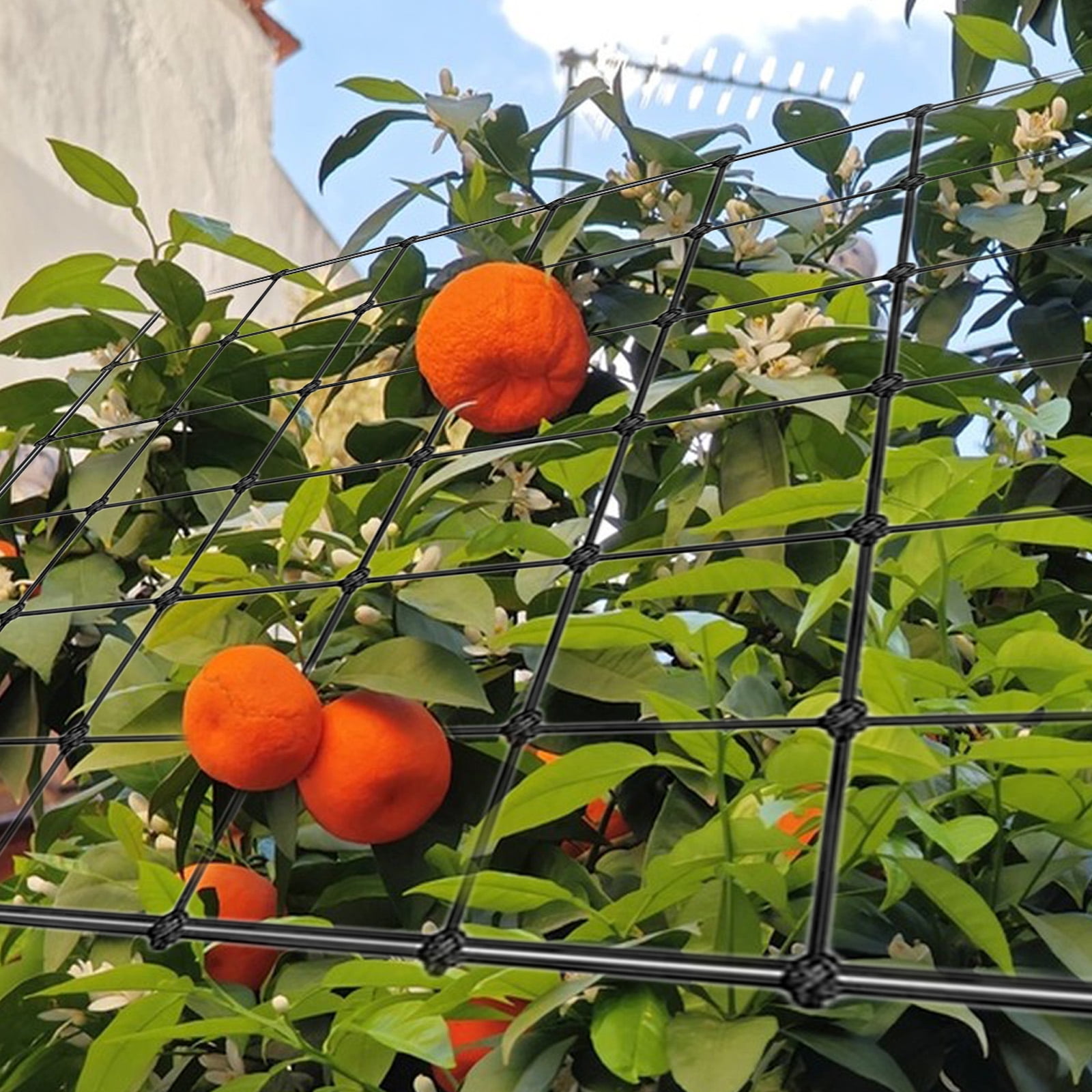 4' x 4' Trellis Netting for 59"x59",Heavy-Duty Elastic Net with Hooks ...