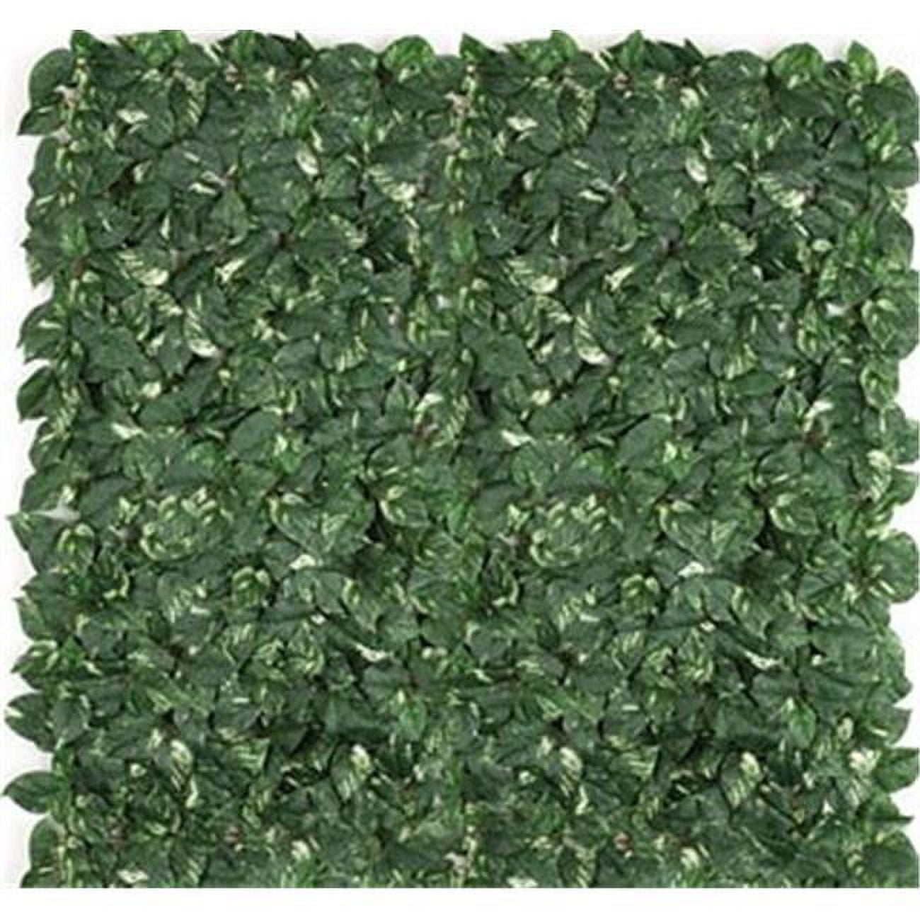 4 x 4 ft. Fire Pothos Grid, Green - Walmart.com