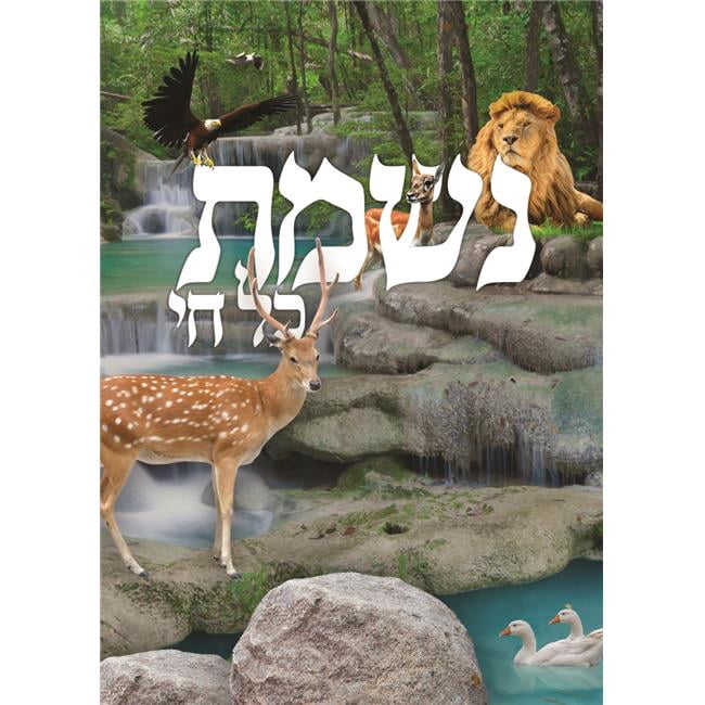 4 x 6 in. 2 Fold Nishmas Kol Chai Card - Walmart.com