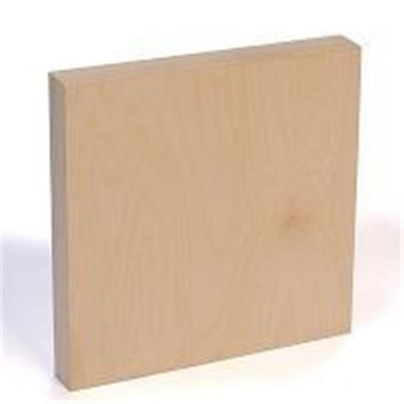 4 x 6 in. Deep Birch Painting Panel - Natural - Walmart.com