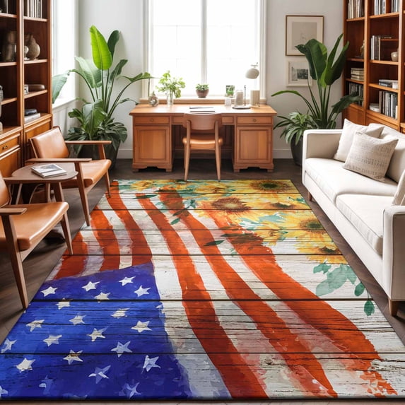 4'x6' Area Rugs, 4th of July Indoor Outdoor Area Rug for Living Room ...