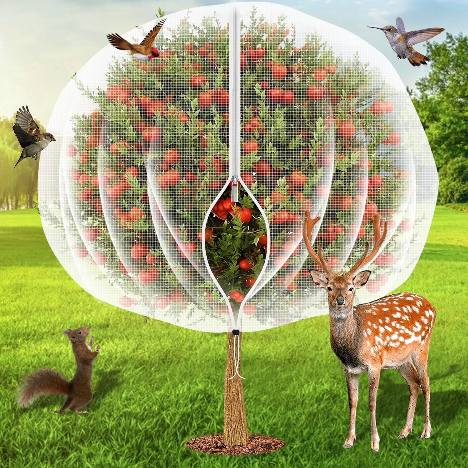 4'x6' Fruit Tree Netting Cover with Zipper and Drawstring, Ultra-Fine ...