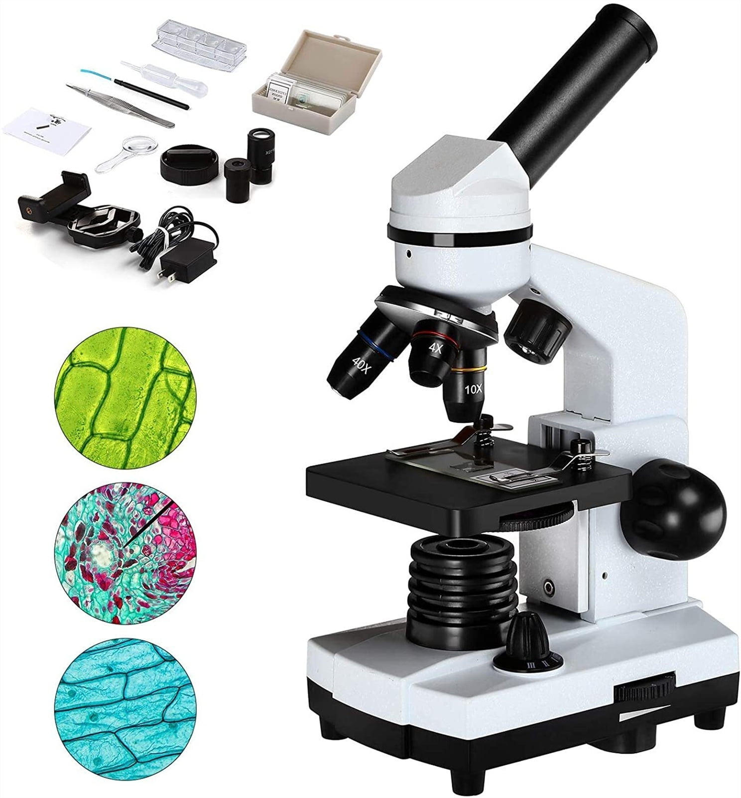 40-1600X Microscopes For Kids Students Adults Powerful Biological ...