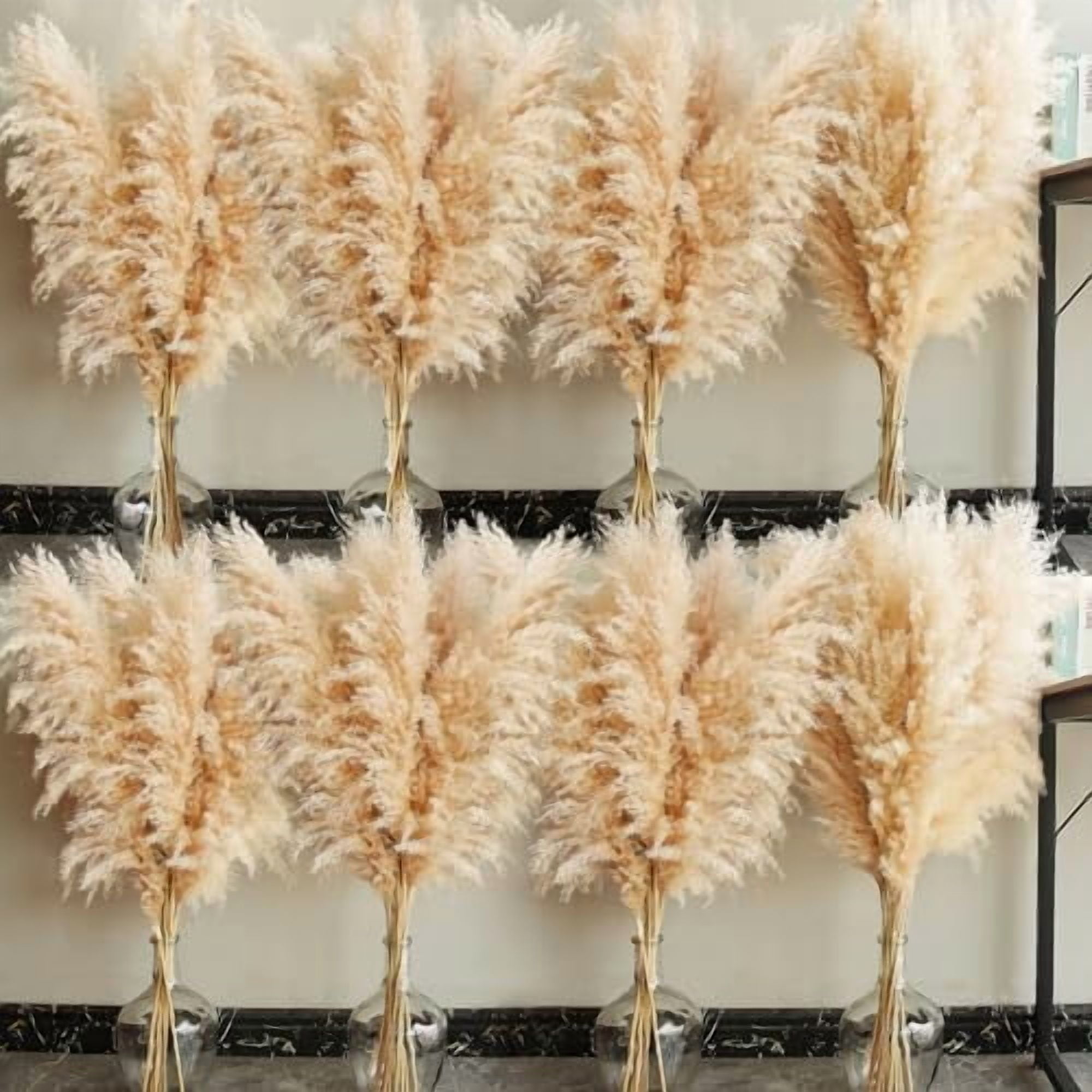 40" inch 40 Stems Natural Pampas Grass Decor Tall, pompas Grass, Tall ...