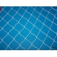 40 FT LONG' x 50' FT DEPTH POULTRY GAME BIRD PHEASANT AVIARY NETS 2 ...