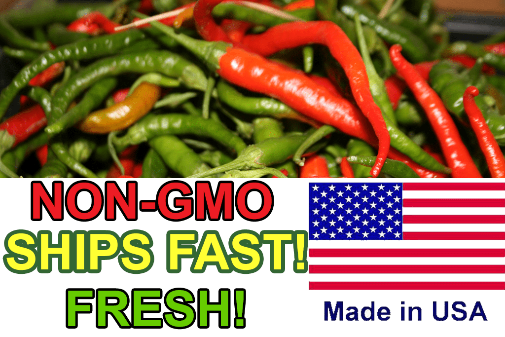 40+ Hot Cayenne Long Slim Pepper Seeds | NON-GMO Hierloom | Fresh ...