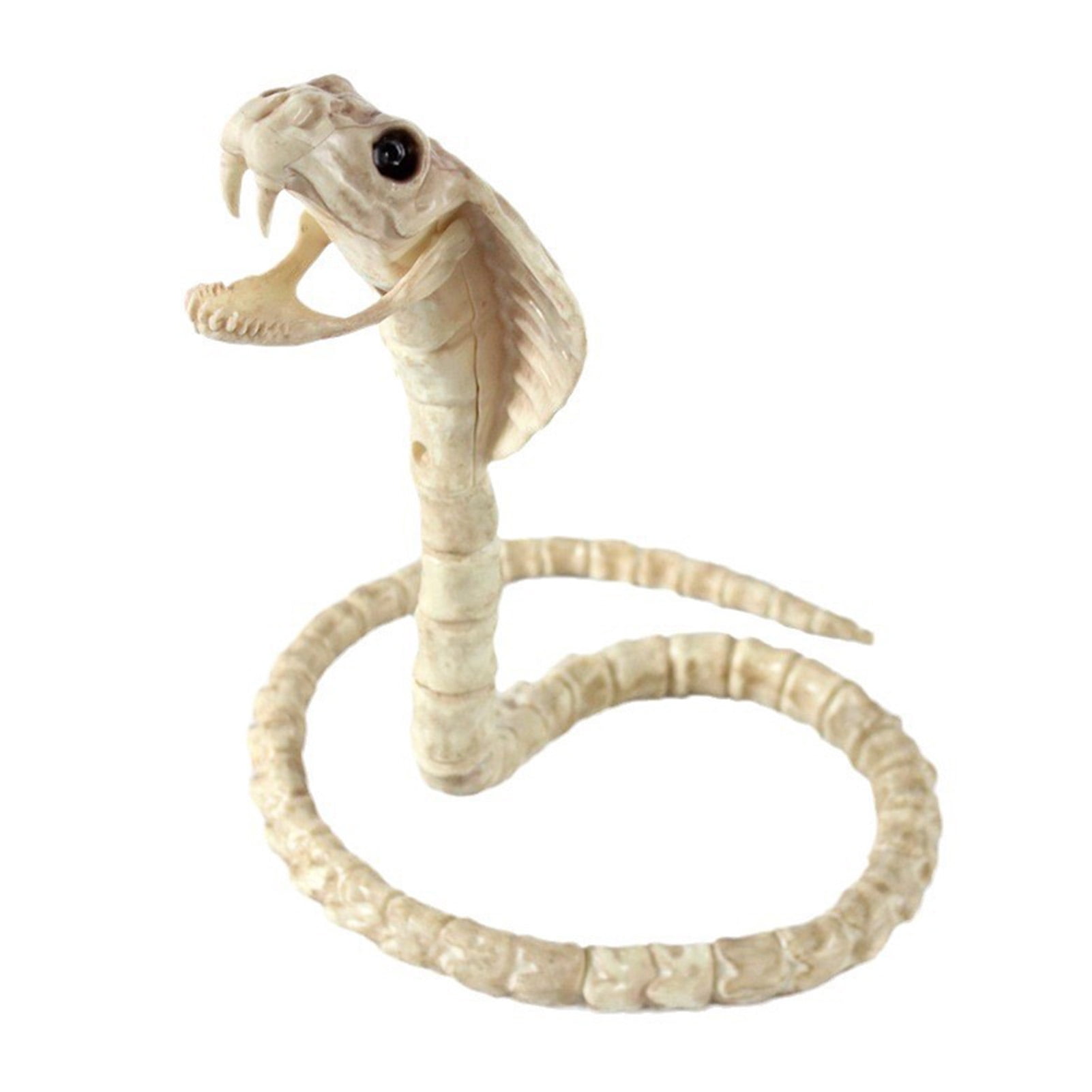 40 Inch Skeleton Snake Ornament Plastic Skeleton Snake Bone Model ...