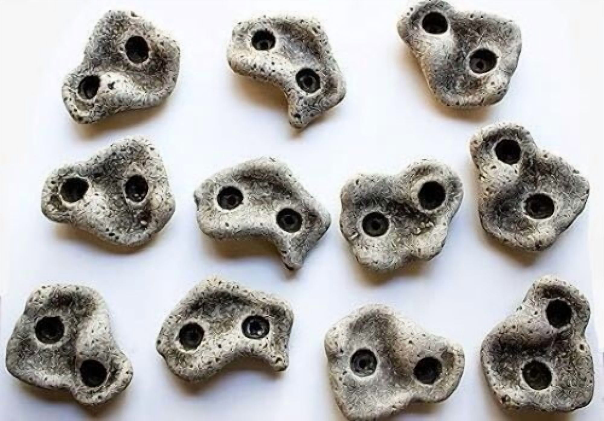 40 LARGE KIDS BOLT ON ROCK CLIMBING HOLDS. MADE IN THE USA. - Walmart.com