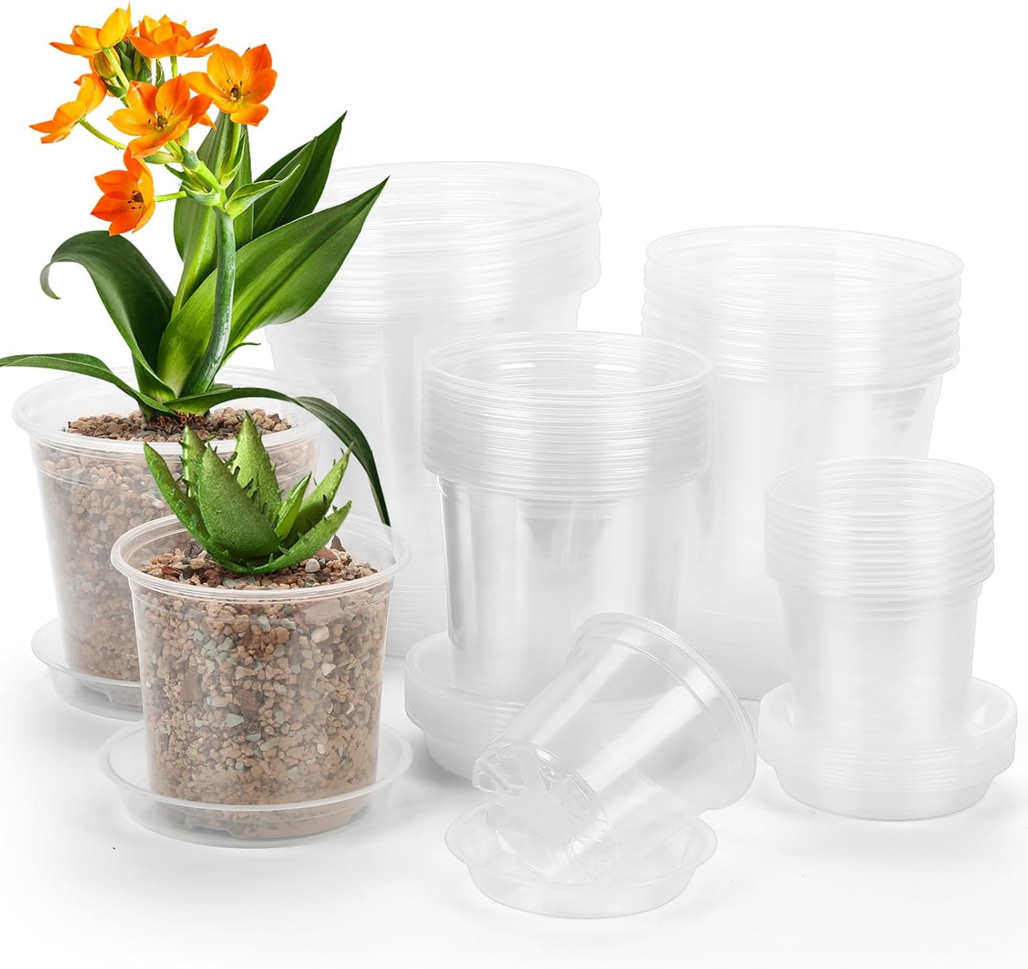 40 Pack 4/5/6/7 Inch Clear Nursery Pots with Drainage and Saucer ...