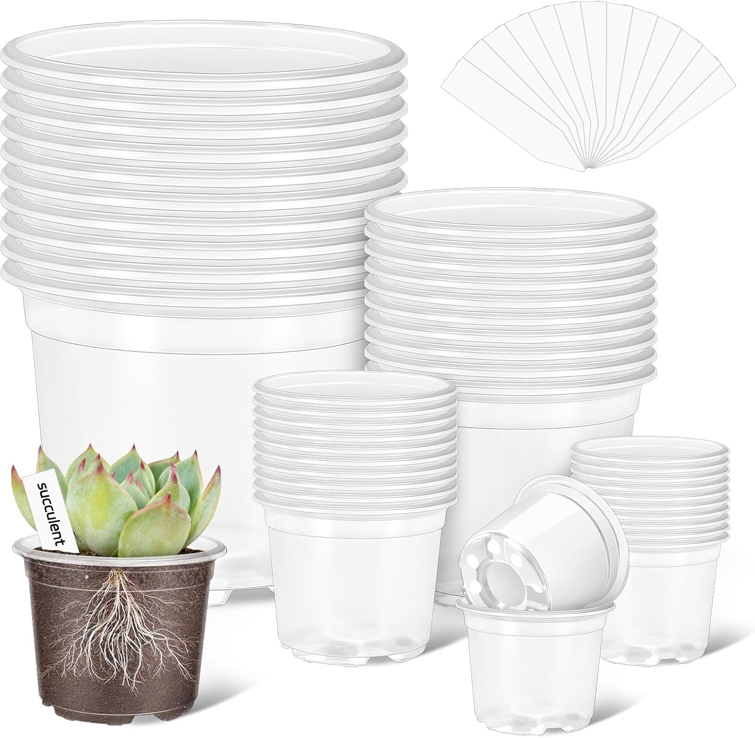 40 Pack 5/4/3/2.75 Inch Clear Nursery Pots with Plant Labels Drainage ...