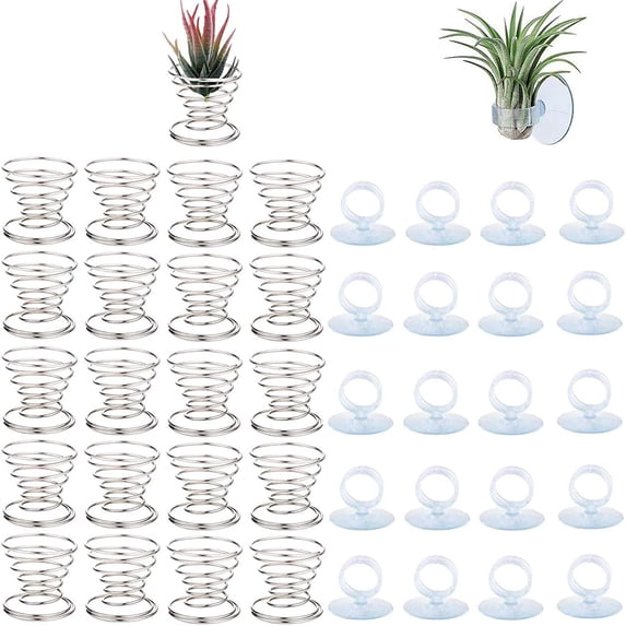 40 Pack Air Plant Stand Holder Tillandsia Airplant Container with ...