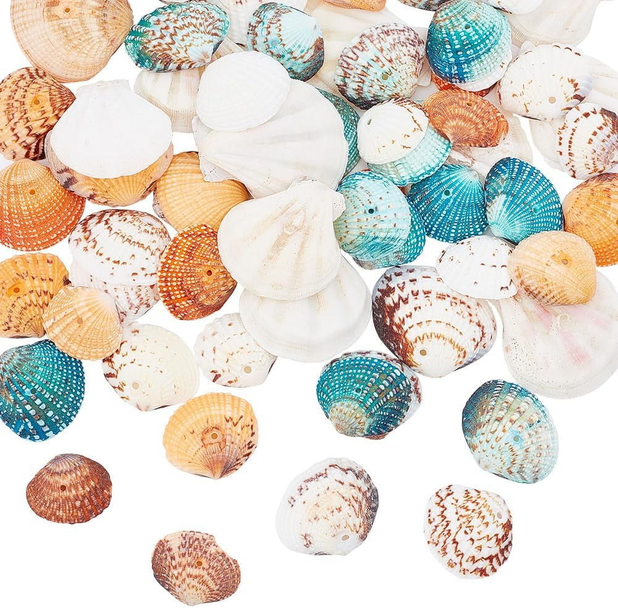 40 Pcs 4 Styles Drilled Shell Mix Sea Shells Dyed Natural Mixed Shell ...
