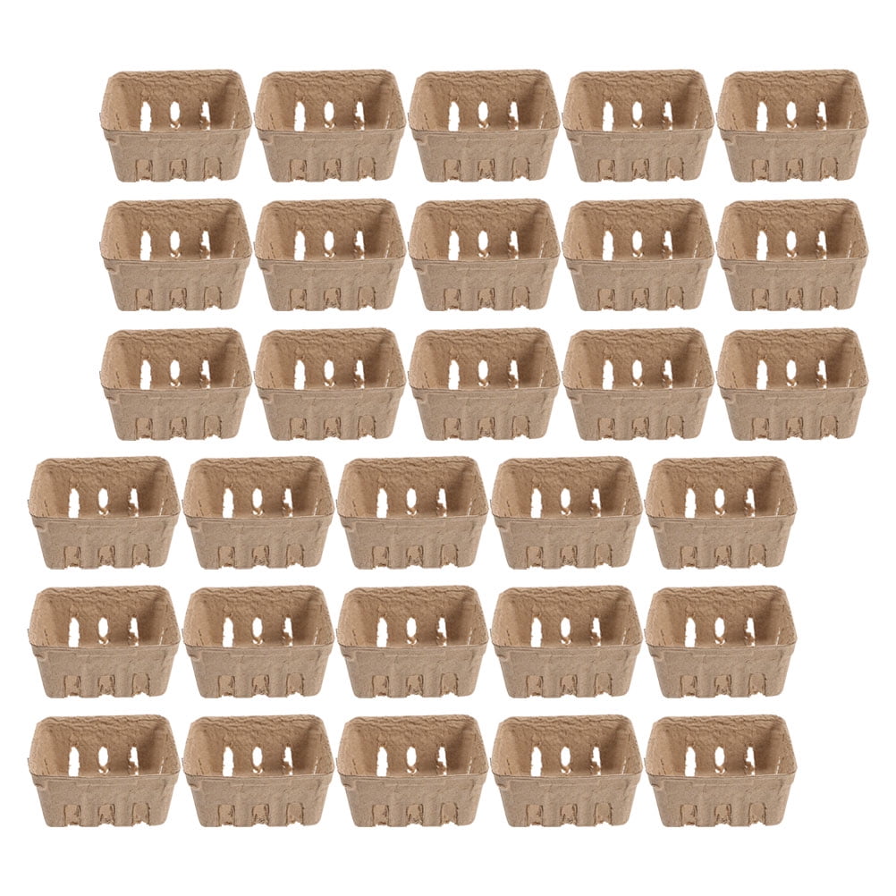 40 Pcs Biodegradable Blueberry Tray Fruit Packaging Box Paper Plastic ...