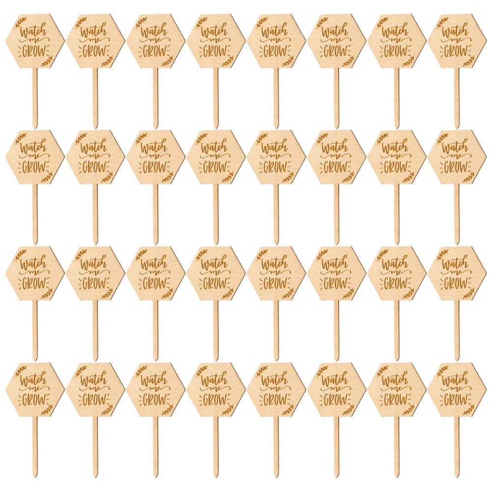 40 Pcs Succulent Card Plant Name Tag Pot Markers Planted Labels Wood ...