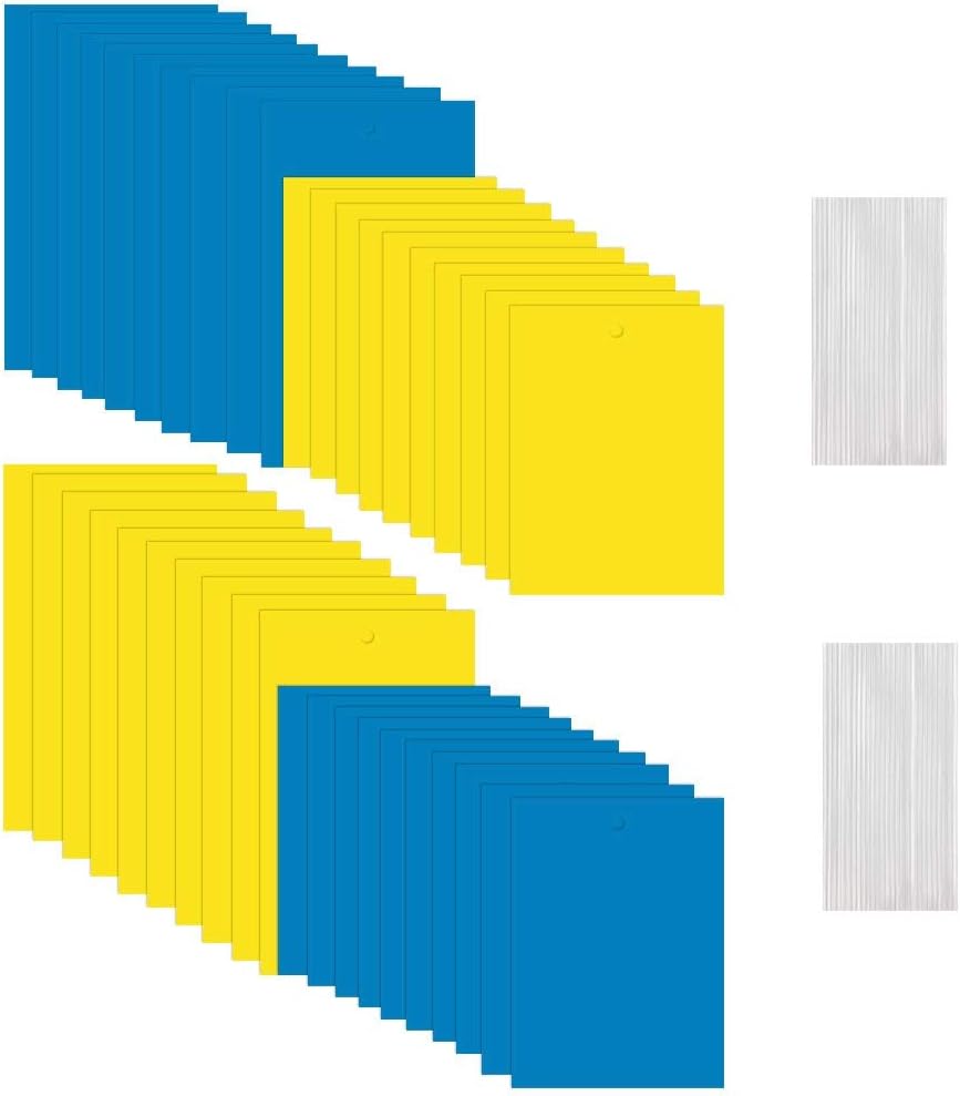 40 Pcs Yellow Sticky Traps Blue Fly Trap Stickers Dual-Sided Sticky Fly ...