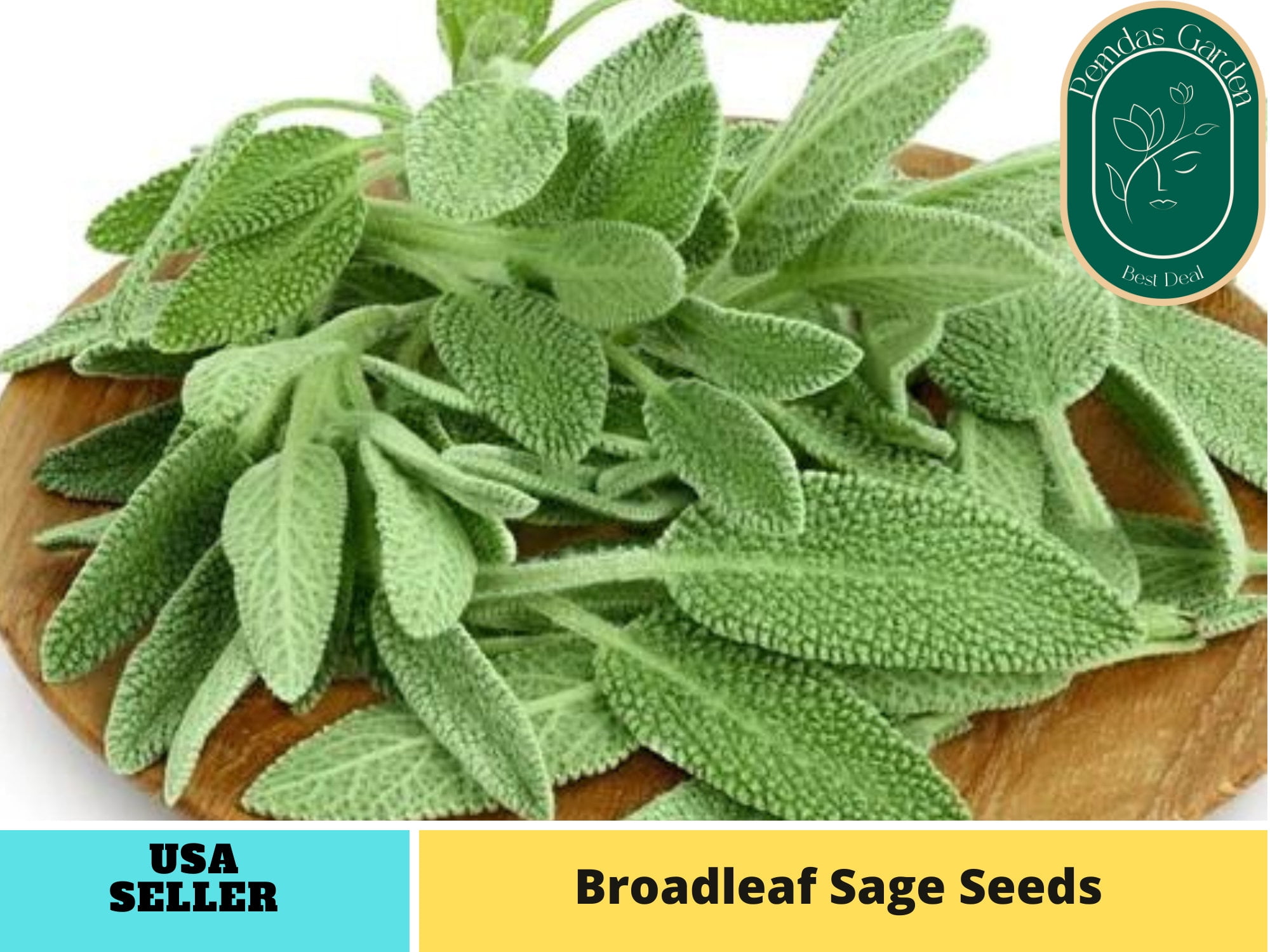 40 Seeds| Sage Seeds, Broadleaf - Authentic Seeds ~ GMO Free ~ Seeds ...