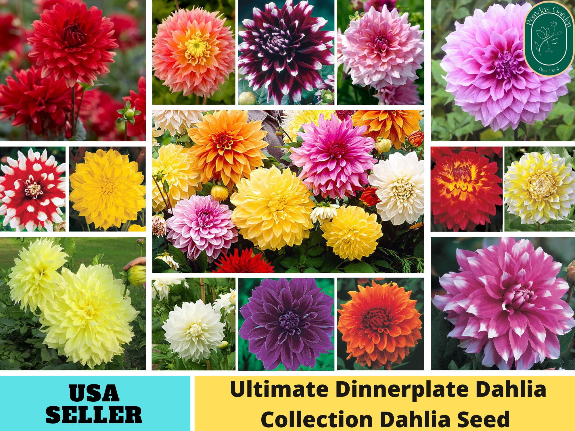 40+ Dahlia Seeds| Ultimate Dinnerplate Collection, Flower & Herb Seeds ...