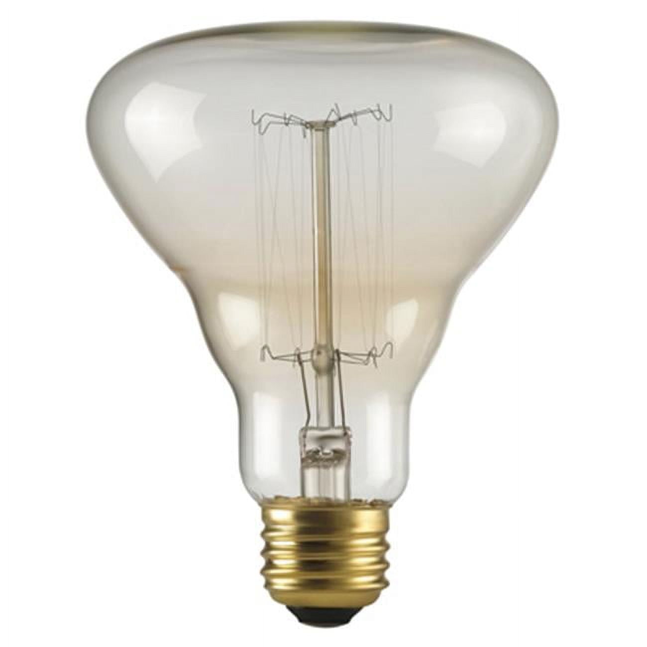 40 W Labo Designer Bulb - Walmart.com