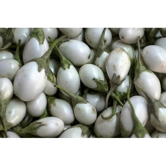 40 Seeds White Star FINGER FRUIT EGGPLANT Solanum Melongena Aubergine ...
