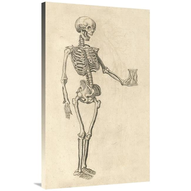 40 in. Human Skeleton with Hourglass Art Print - Caspar Bauhin ...