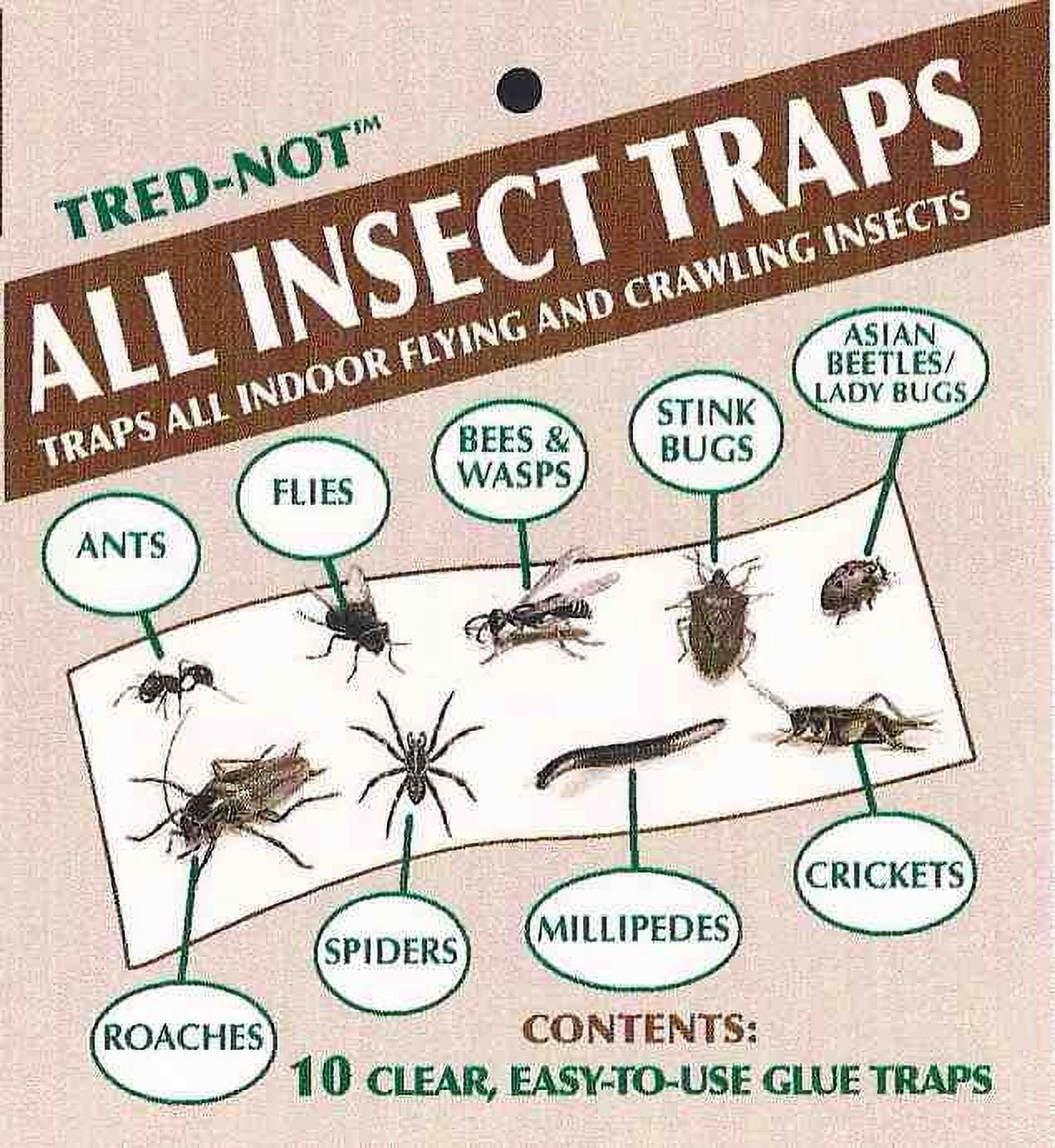 40 pk ALL Insect Traps / Strips / Glue Boards. Trap Flies, bees, wasps ...