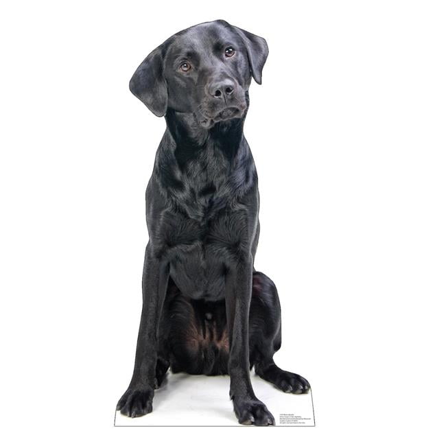 40 x 19 in. Black Labrador Life-Size Cardboard Cutout - Walmart.com