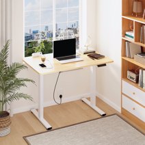FunniHomi 40" x 24" Electric Height Adjustable Standing Desk with Hooks ...