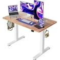 40 x 24 Inch Standing Desk Stand up Height Adjustable Office Electric ...