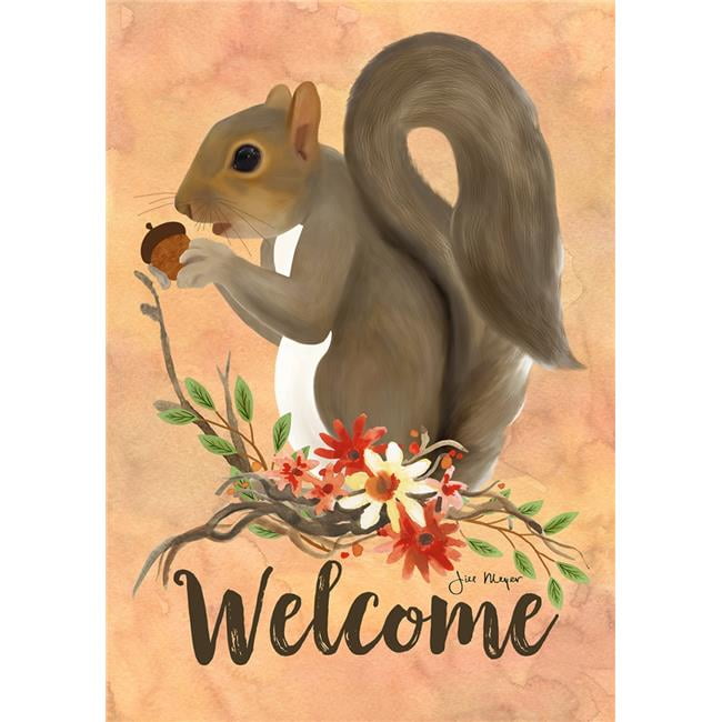 40 x 28 in. Squirrel Welcome Double Sided House Flag - Walmart.com