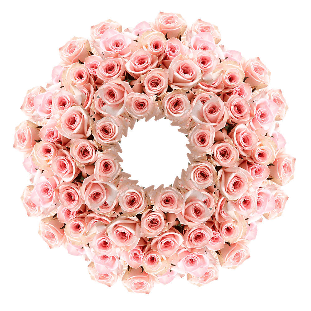 400 Assorted Pink Roses- Beautiful Fresh Cut Flowers- Express Flower ...