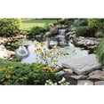 400 Gallon Pond Kit with Lighting - Walmart.com