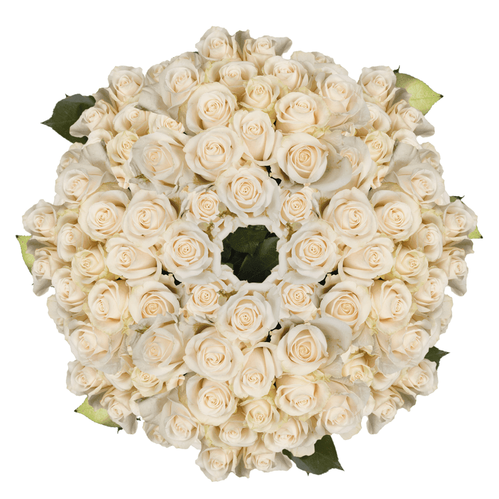 400 Stems of Ivory Roses- Beautiful Fresh Cut Flowers- Express Delivery ...