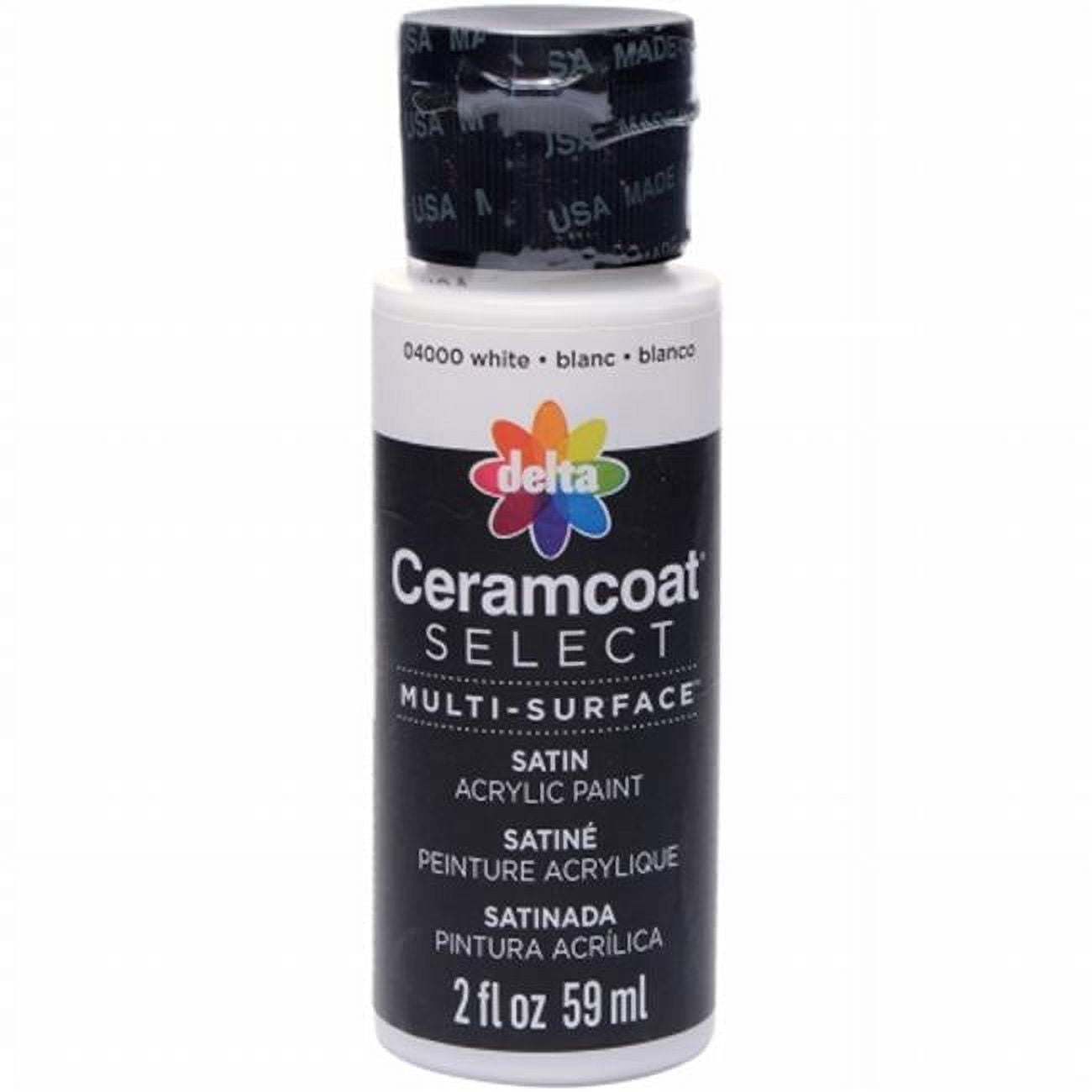 4000-04000 Ceramcoat Select Multi-Surface Paint 2 oz., White - Walmart.com