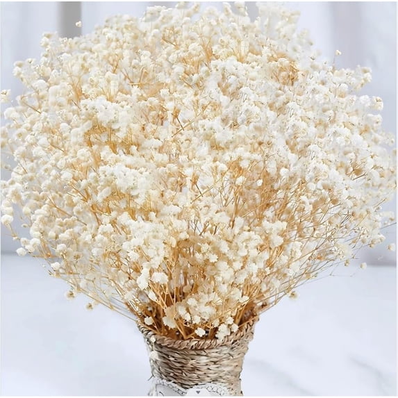 4000+ Dried Babys Breath Flowers Bulk - 17" Ivory White Dried Flower ...