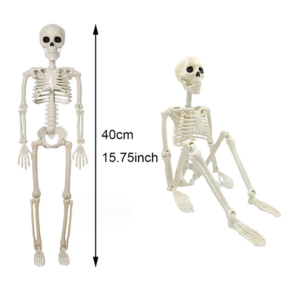 40Cm Human Skeleton Life Size Skull Full Body Anatomy Model Halloween ...