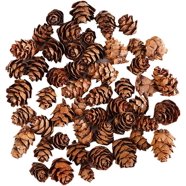 kiskick 20Pcs Mini Decorative Fake Pine Cones, Small DIY Craft for Home ...