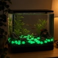 40Pcs Luminous Resin Sea Star Stones Glow in Dark Aquarium Decor ...