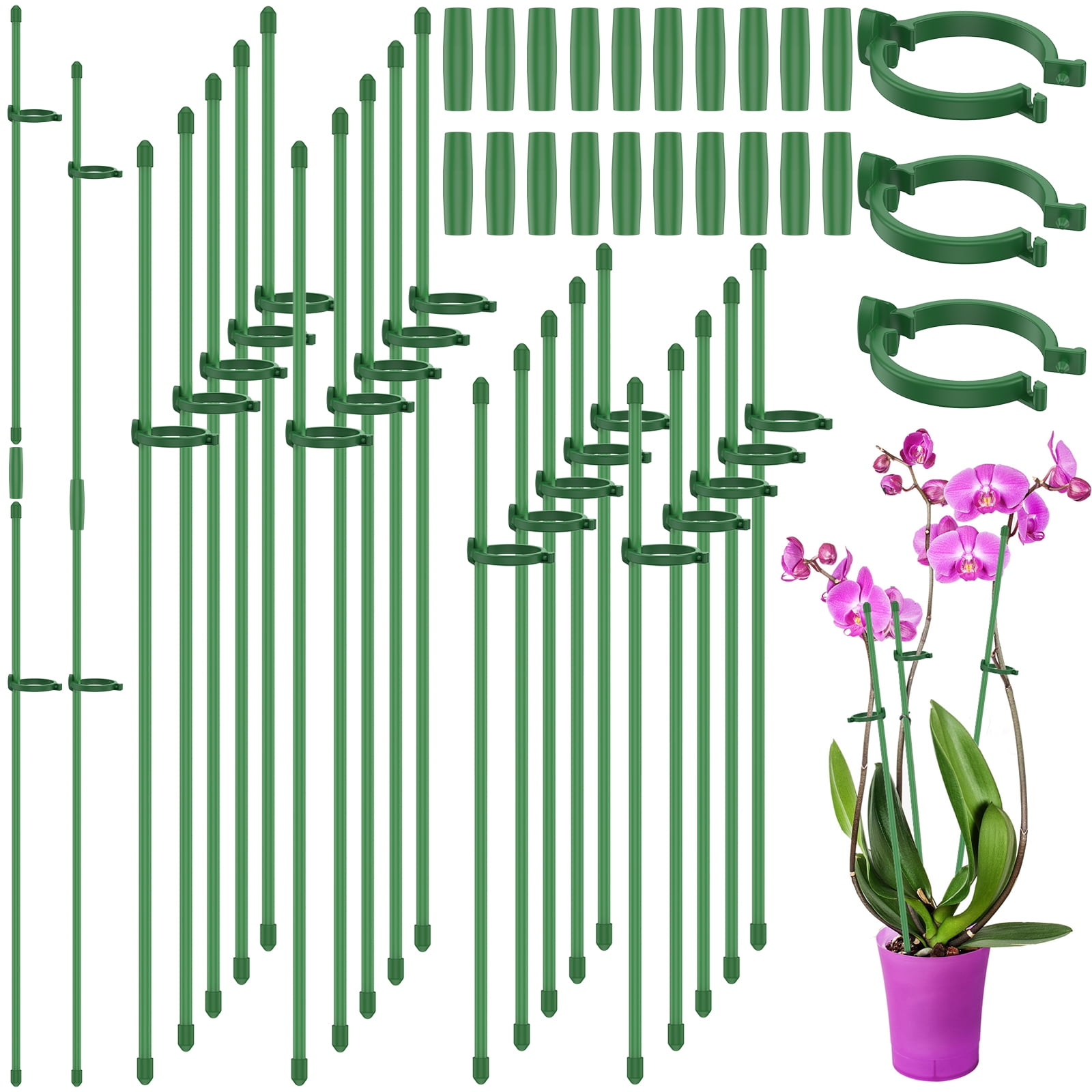 40Pcs Plant Support Stakes,Plant Stakes and Supports for Indoor Plants ...