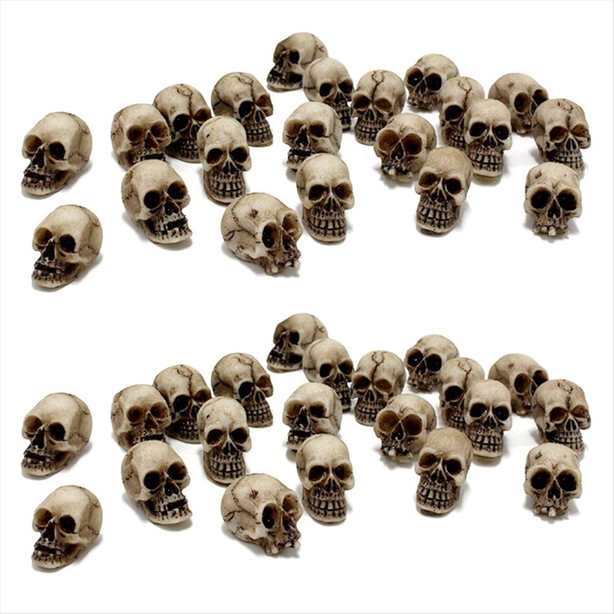 40Pcs Skulls Human Head Skull Realistic Skeleton Skulls for Halloween ...