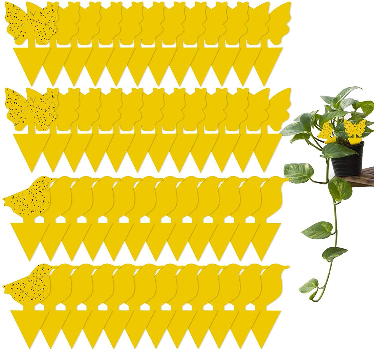 40Pcs Sticky Trap,Fruit Fly and Gnat Trap Yellow Sticky Bug Traps for ...