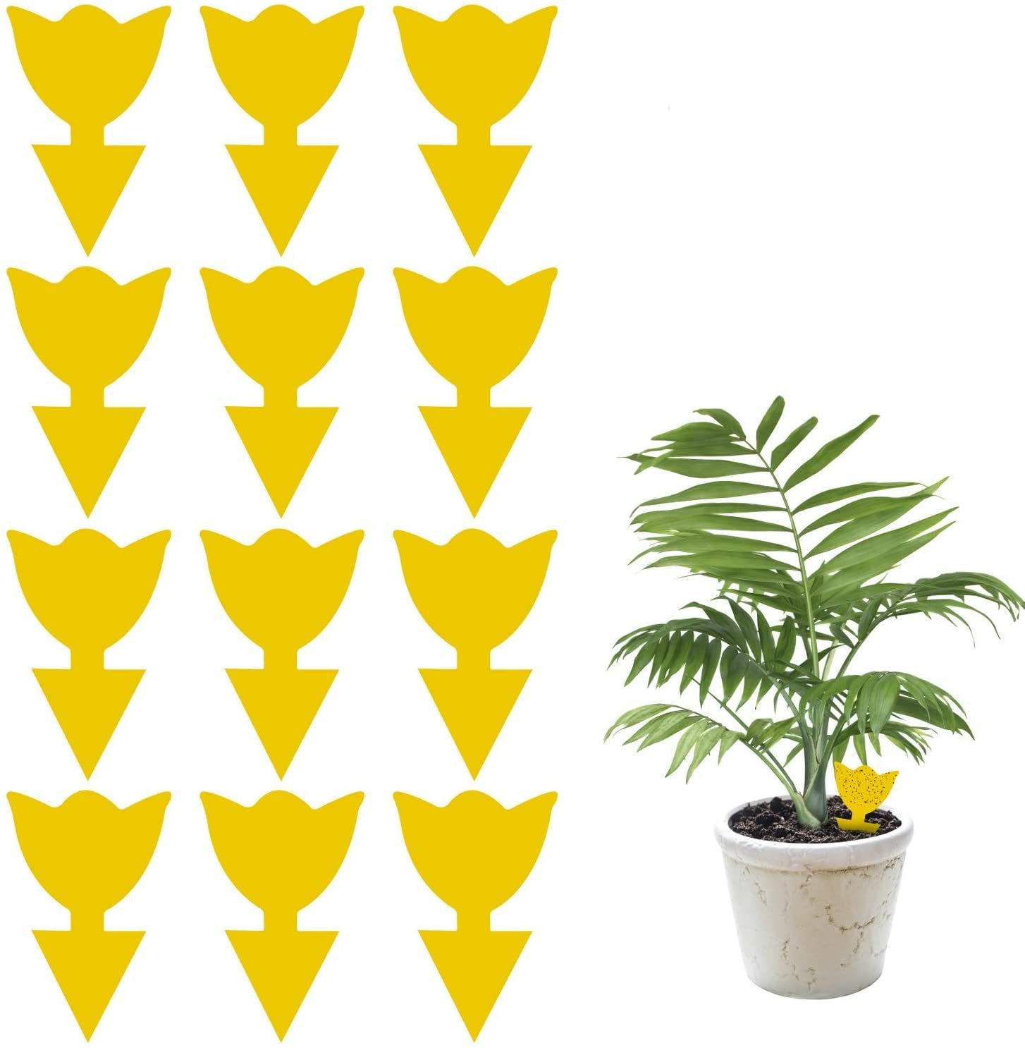 40Pcs Sticky Trap,Fruit Fly and Gnat Trap Yellow Sticky Bug Traps for ...