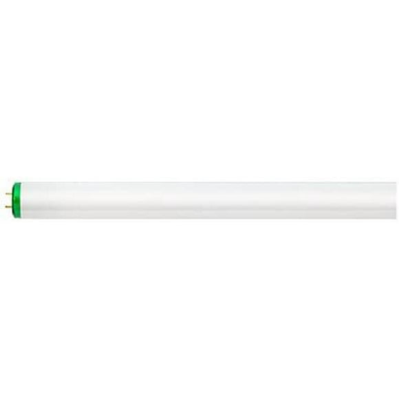 T12 Fluorescent Tubes