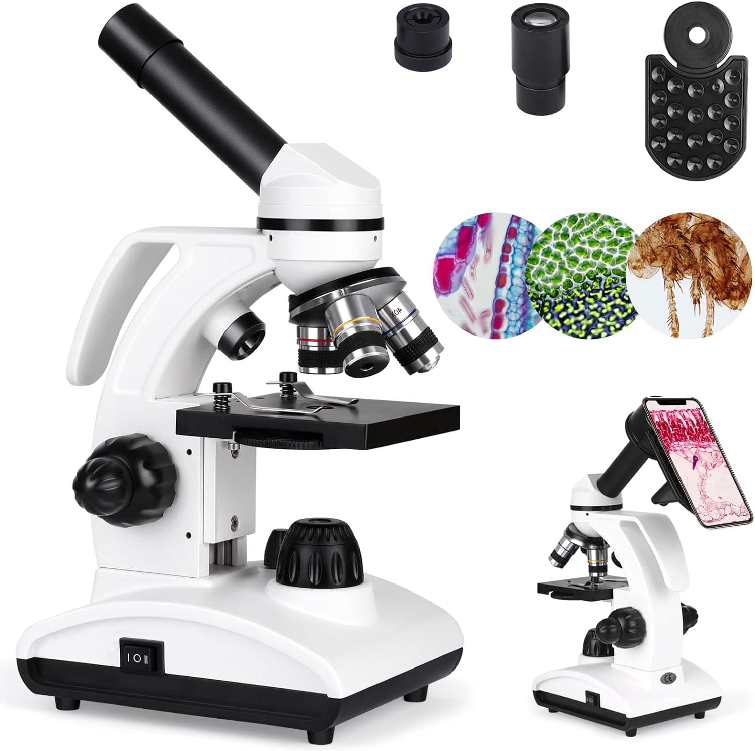 40X-1000X Microscope For Laboratories And Students, Compound Monocular ...